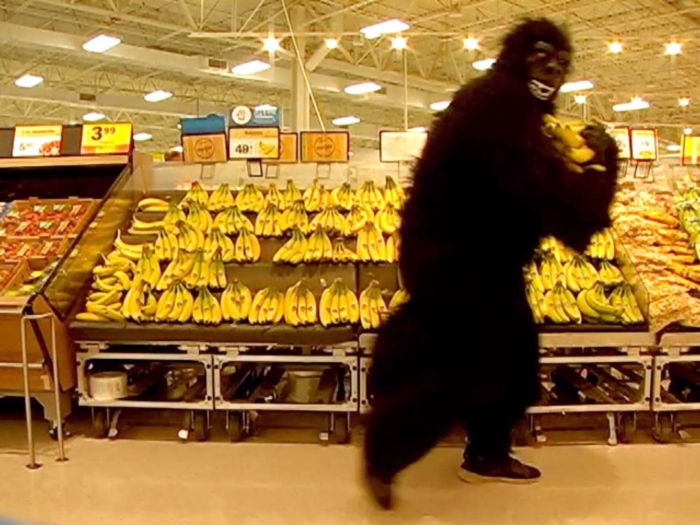 Addison Binek's 'Psycho Ape!' | A Film Starring Kansas Bowling and A ...