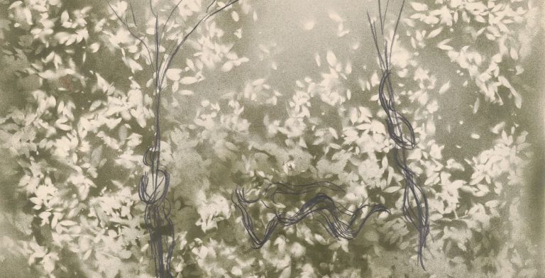 On Exhibition | River of Forms: Giuseppe Penone’s Drawings · The ...