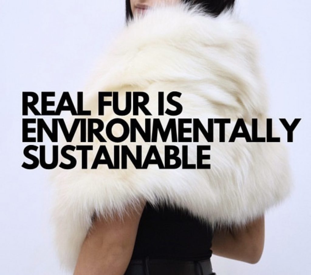 How to Build a Sustainable Fur Brand by Sourcing Ethically · The ...